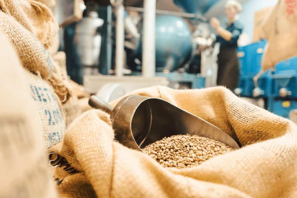How to Check Coffee Quality - Gourmet Coffee Lovers